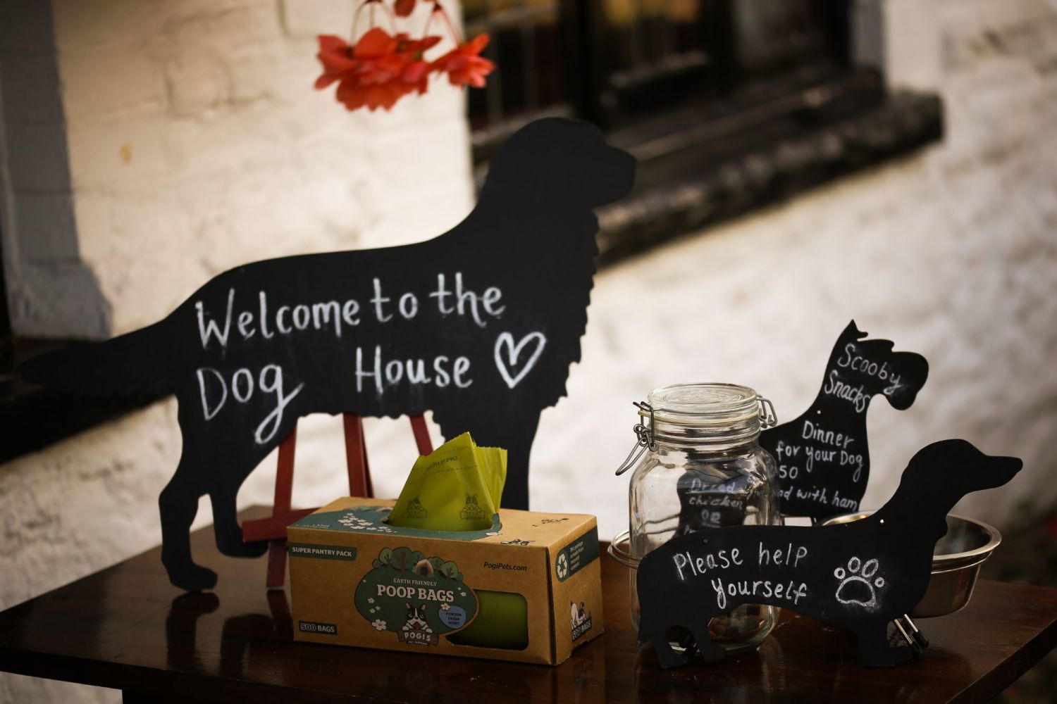 Cosy Dog-Friendly Pub with Rooms in Usk | The Greyhound Inn
