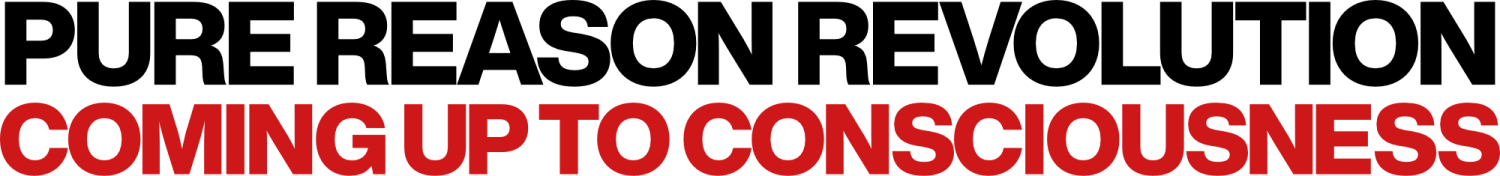 Pure Reason Revolution