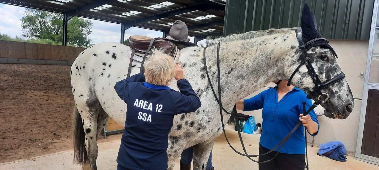 Latest News | Rearsby Lodge Riding Club| Leicestershire