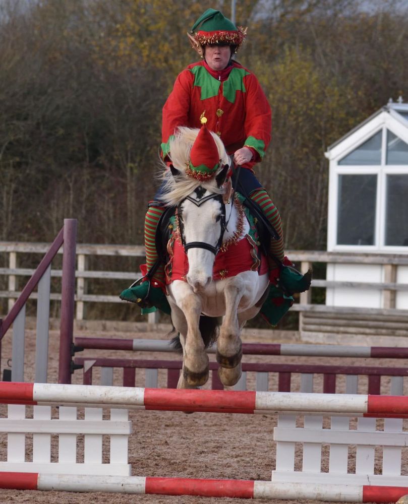 On-Line Entries | Dressage | Showjumping | Clinics | Camps | Arkenfield ...