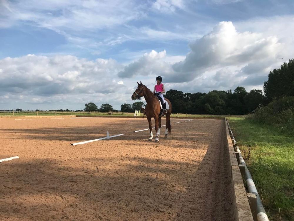 Competitions, Clinics, Livery and Facilities