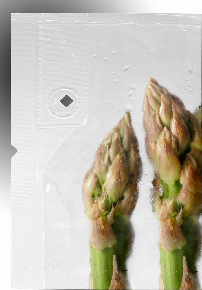 Food & Packaging photography folio