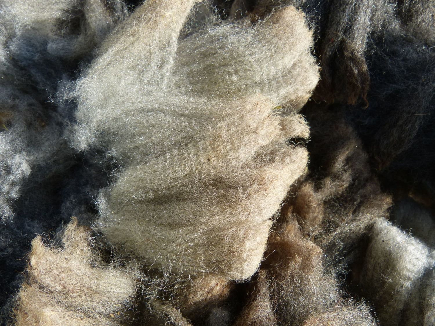 Welcome To Woolnut Fibres