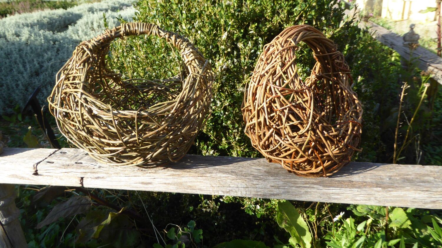 Willow weaving workshops