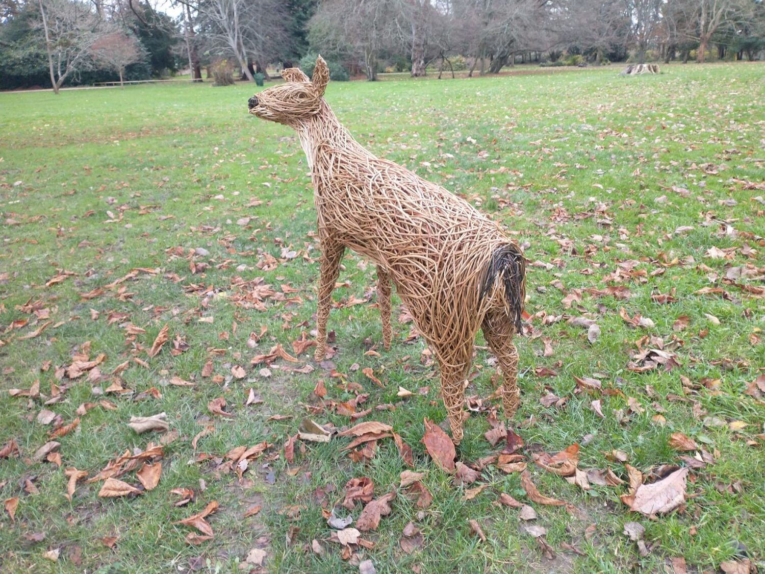 willow deer sculptures created by Hampshire based willow sculptor