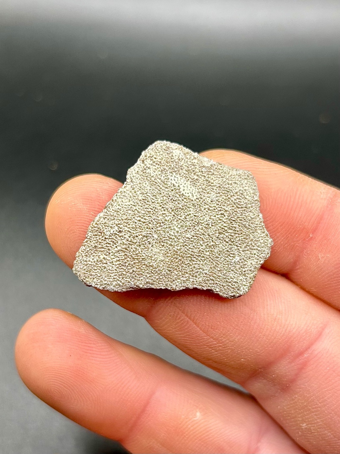 Dinosaur Egg Shell Saltasaurus Egg Shell Late Cretaceous 70 66 Ma Argentina