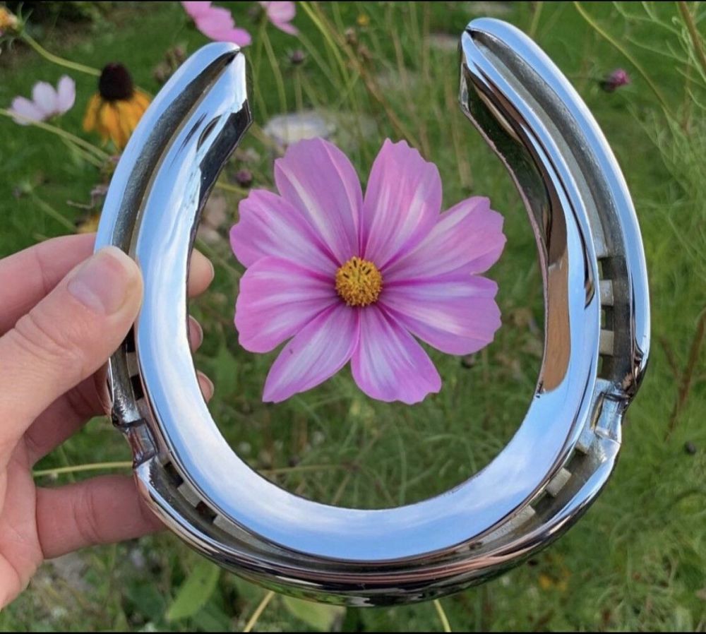 Loose horseshoe designs