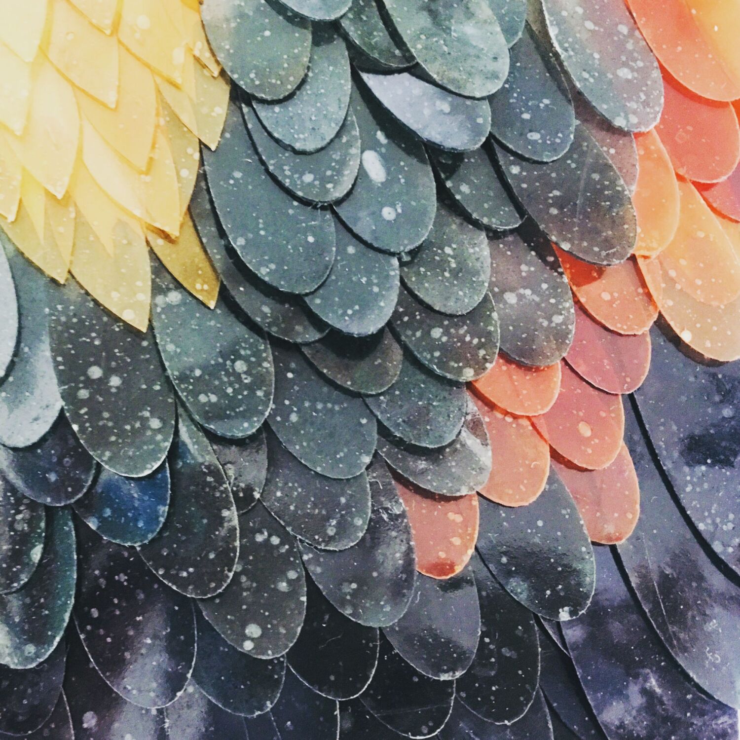 About Our Sequins | Recycled and Biodegradable | The Sustainable Sequin ...