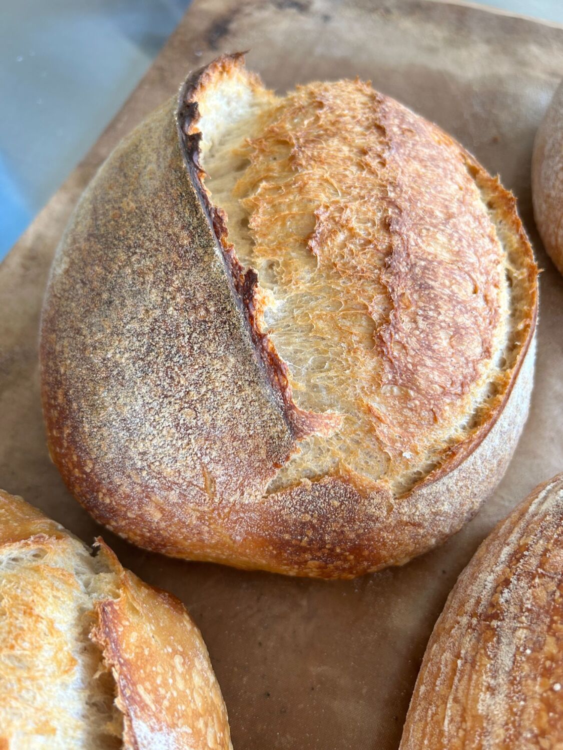 Creamy White Sourdough Loaf