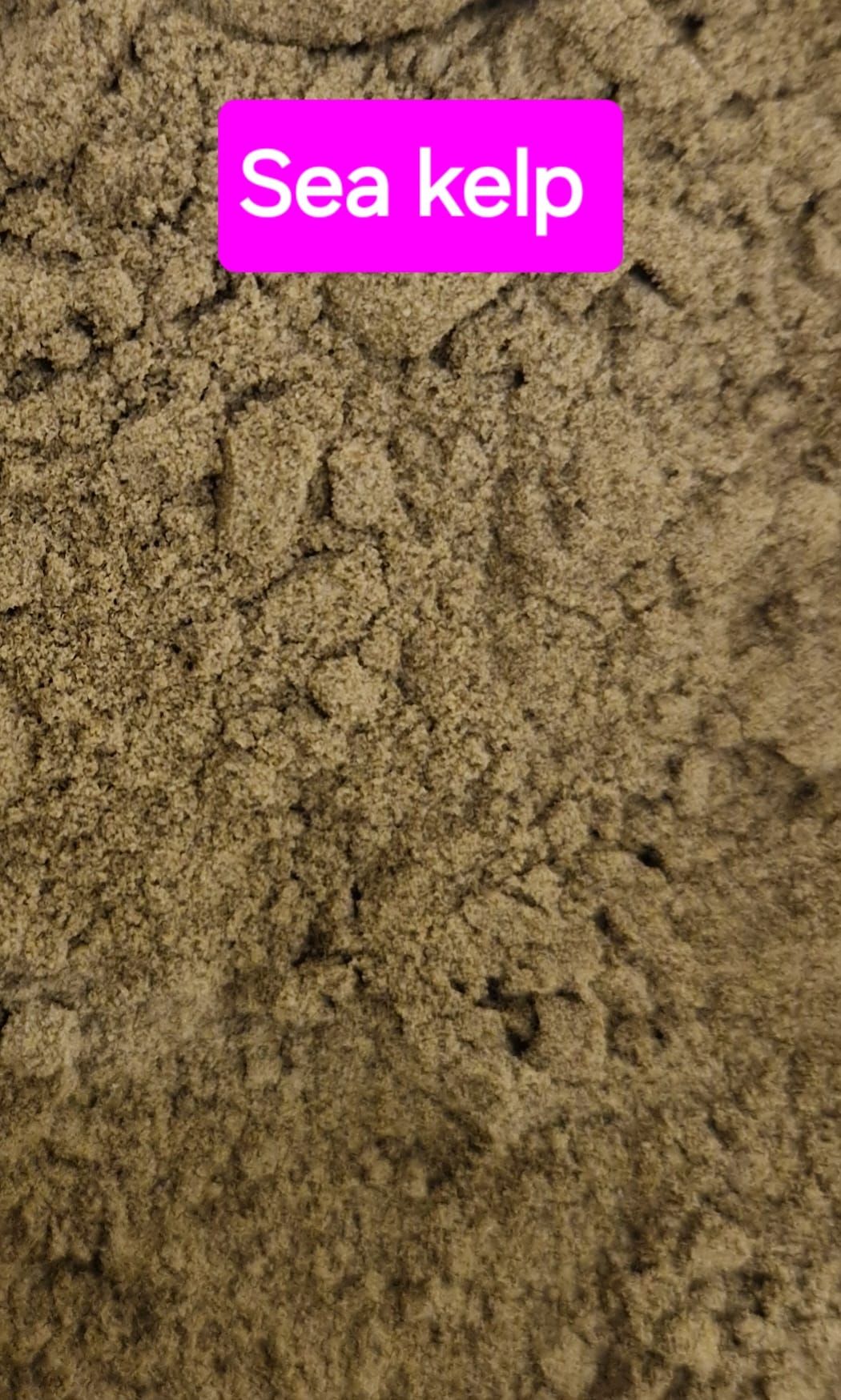 Sea Kelp Powder 200g