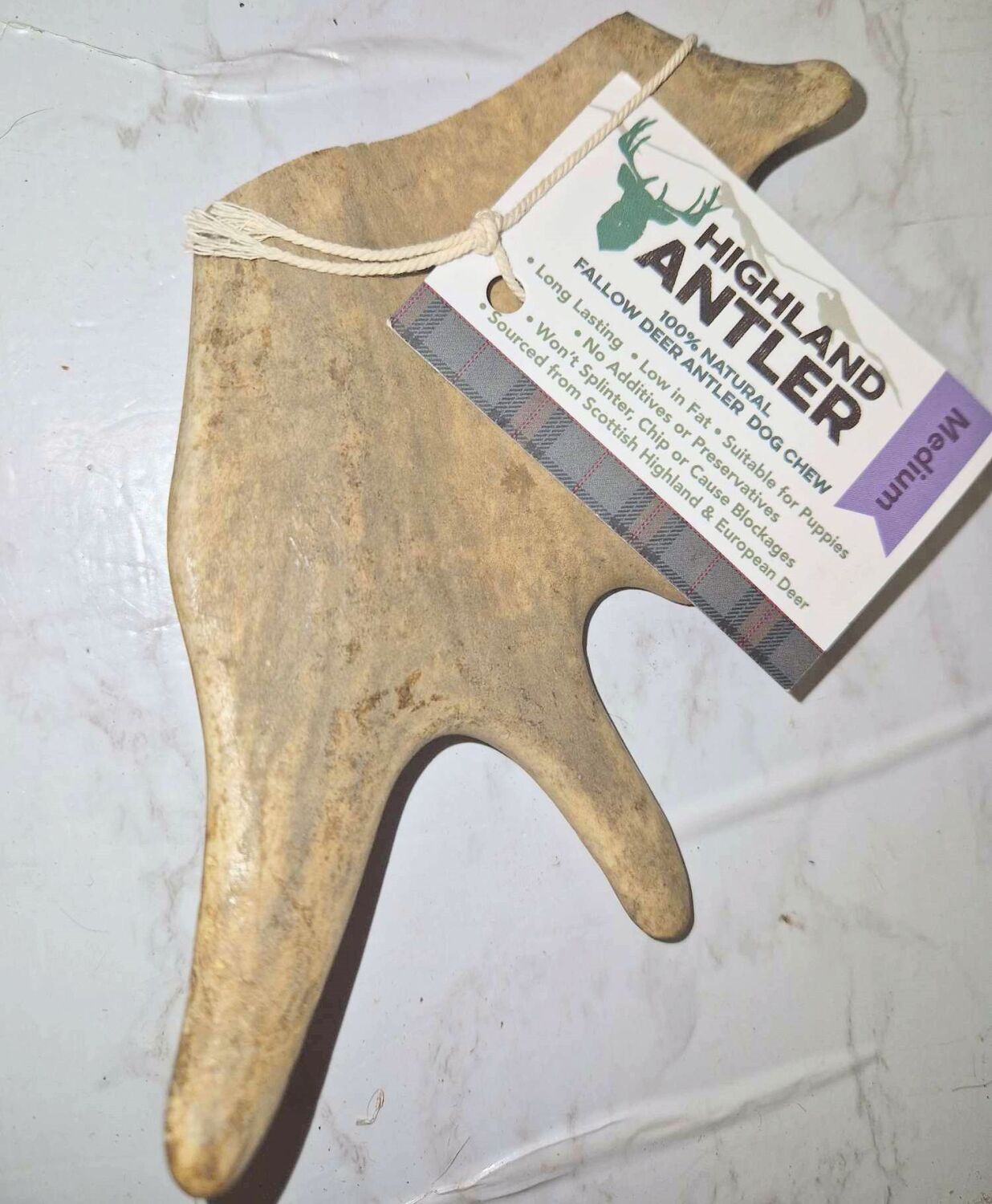Fallow Antler Medium