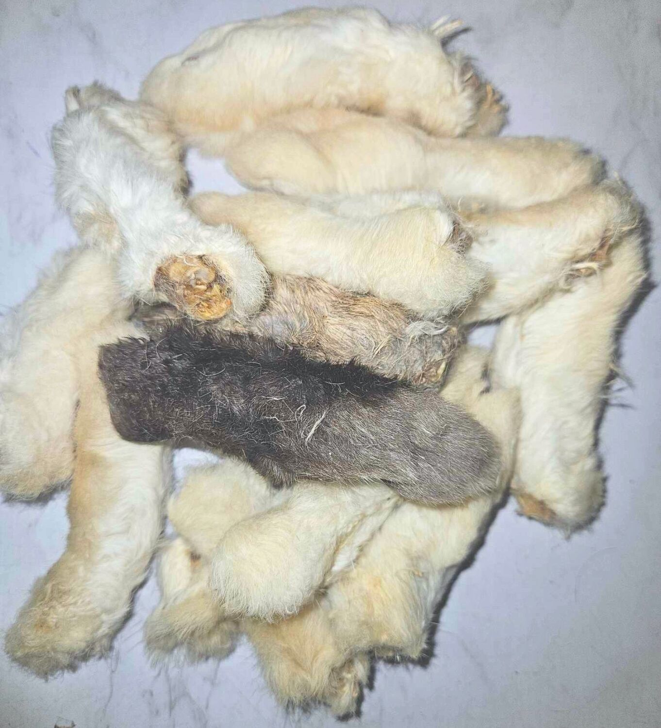 Rabbit Feet 150g