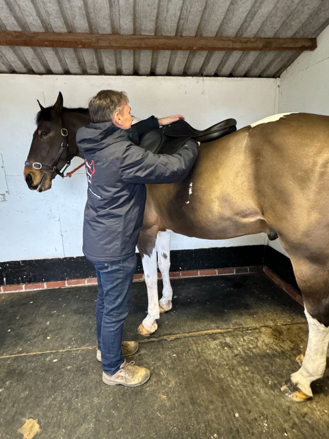 Saddle Fitting | Gallery | Phil Lowe | Midland Performance Saddles ...