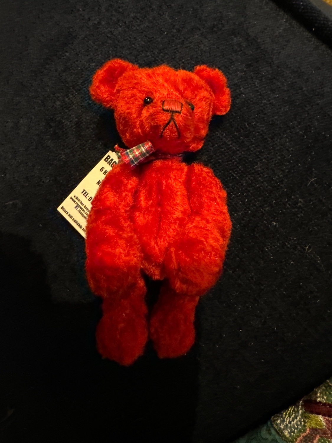 Roger by Baggaley Bears