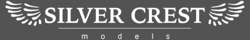 Welcome To Silver Crest Models Shop
