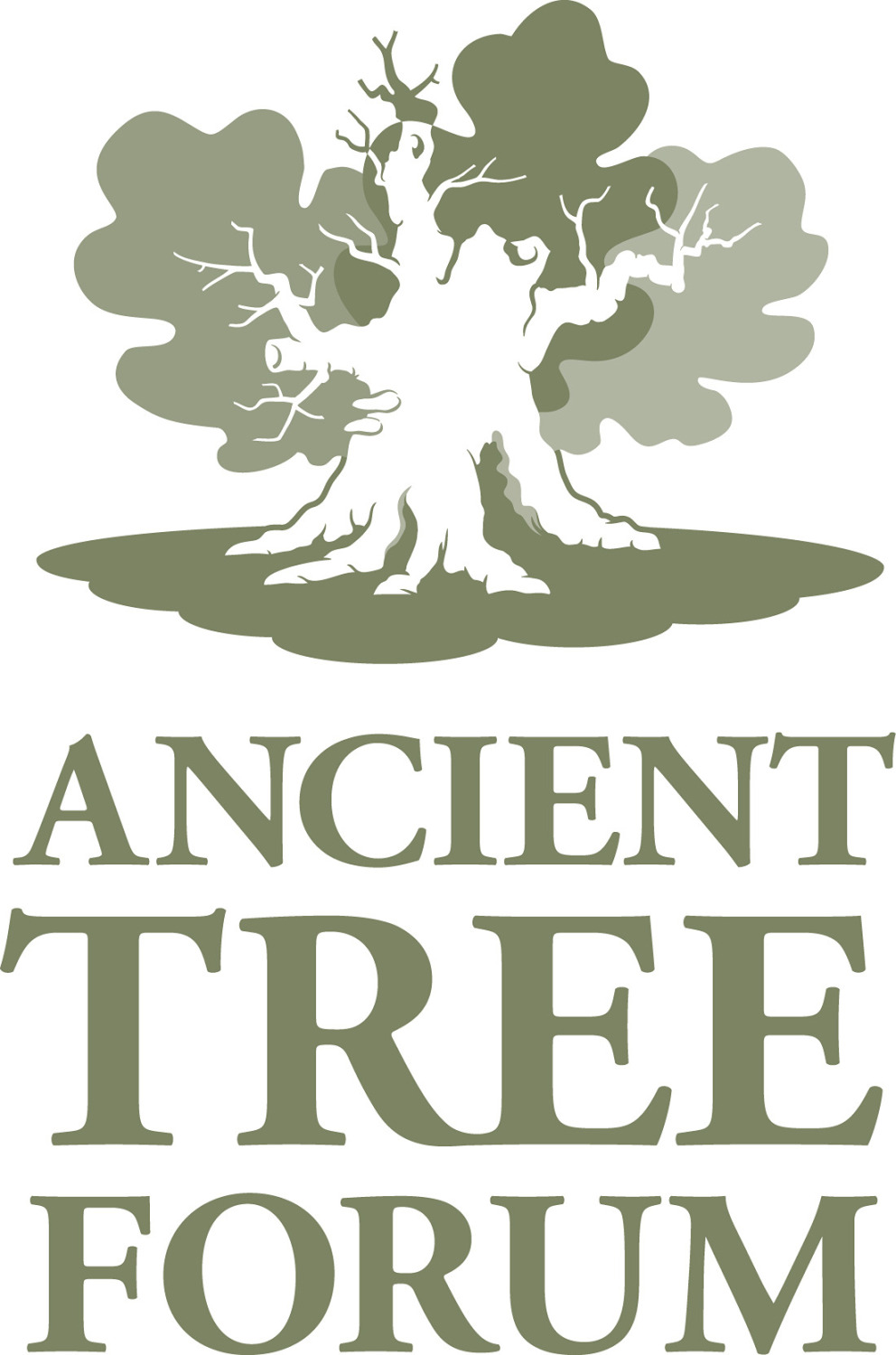 Welcome To Herefordshire Tree Forum