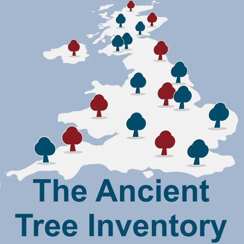 Welcome To Herefordshire Tree Forum