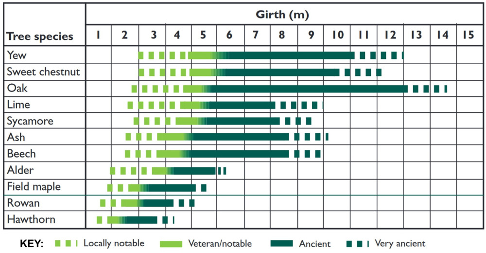 Ancient and Veteran trees