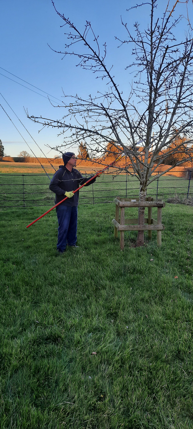 Herefordshire Tree Wardens 2