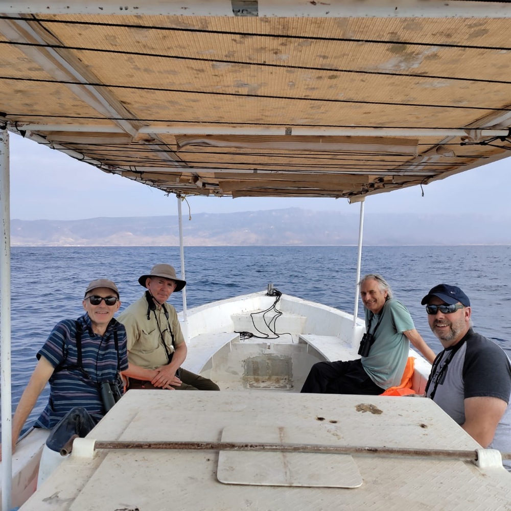 oman birding, oman site information, oman birding tours, oman bird news