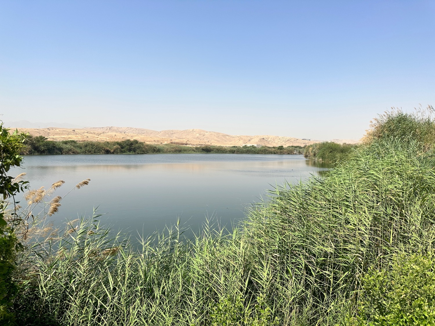 Muscat Birding Sites