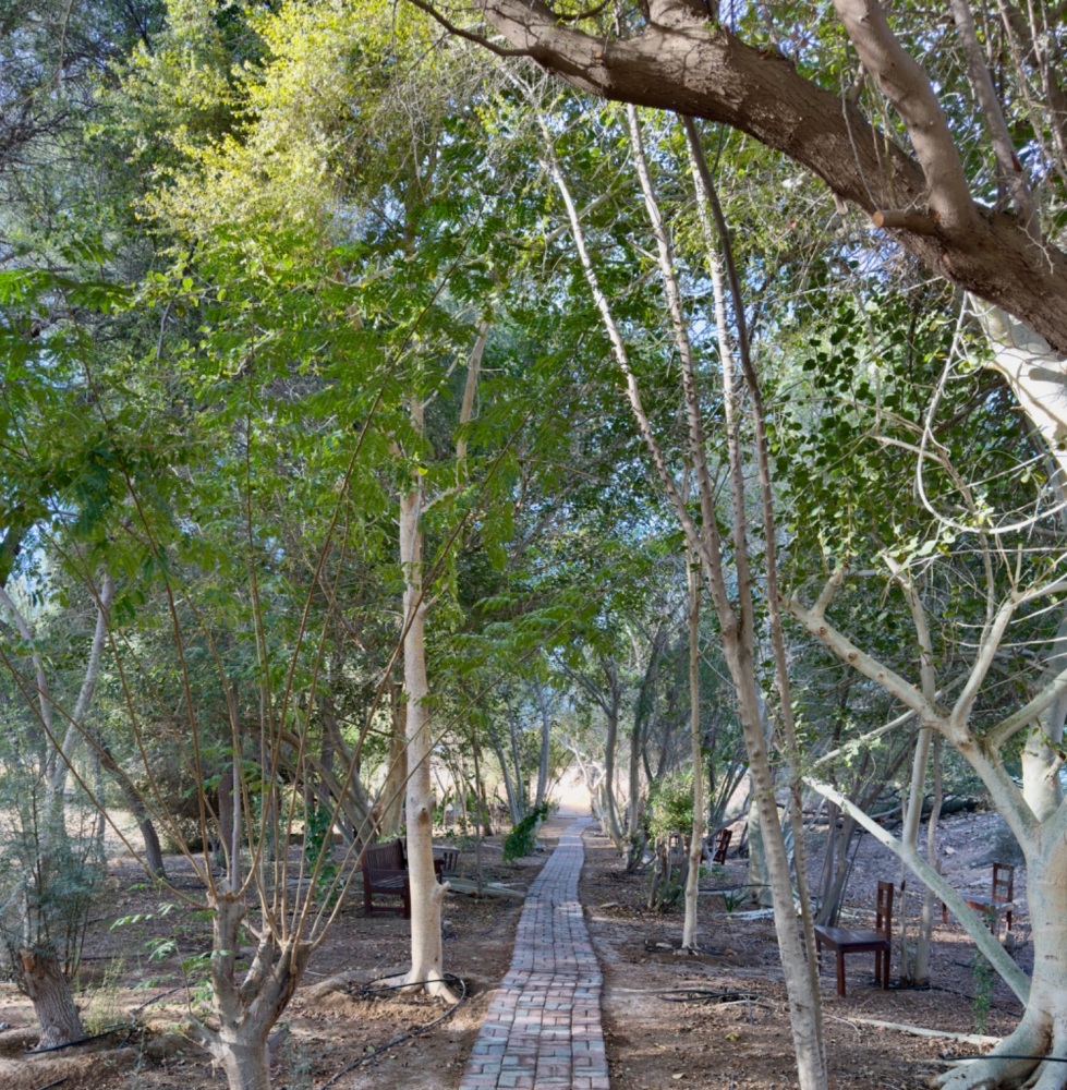 Birding Sites on Masirah Island