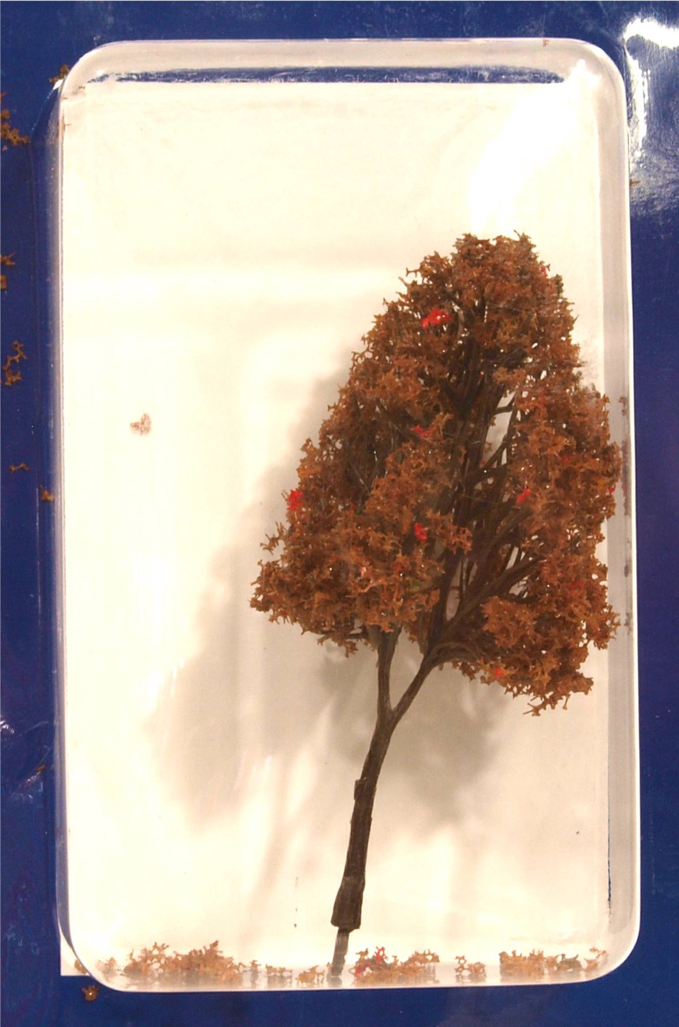 Tasma TP100A 100mm Autumn Oak Tree