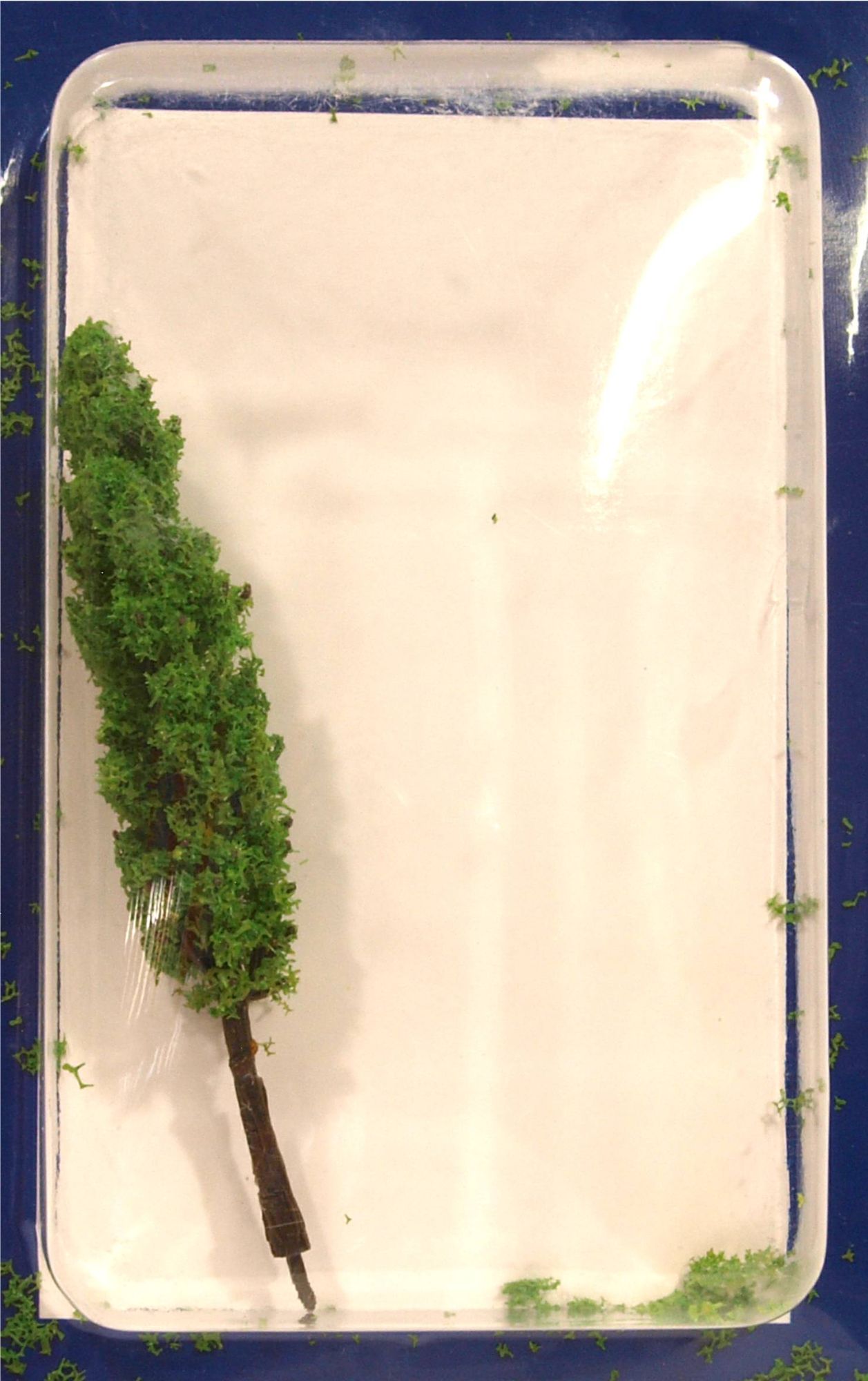 Tasma TO100L 100mm Light Green Poplar Tree