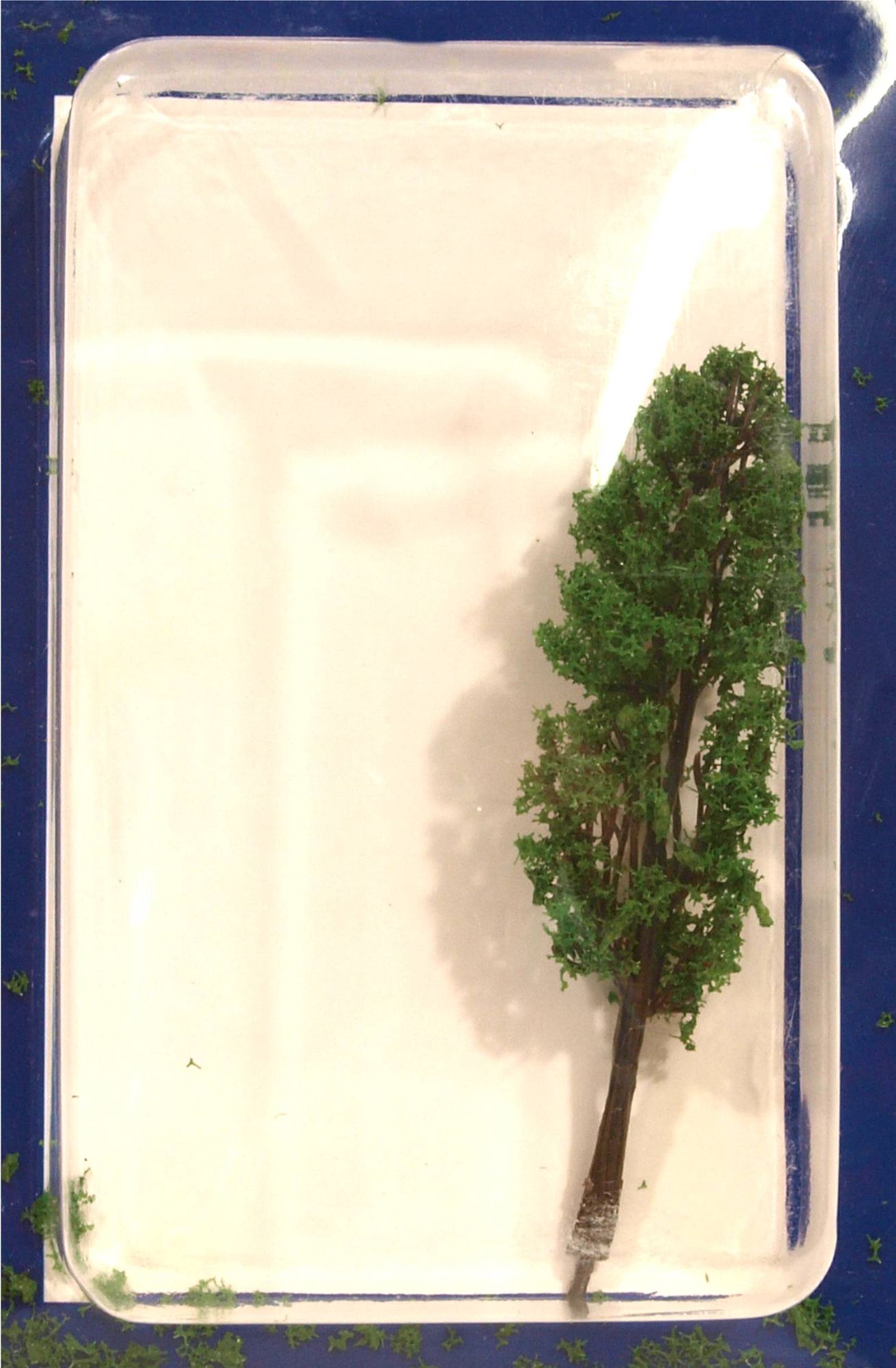 Tasma TO100M 100mm Medium Green Poplar Tree