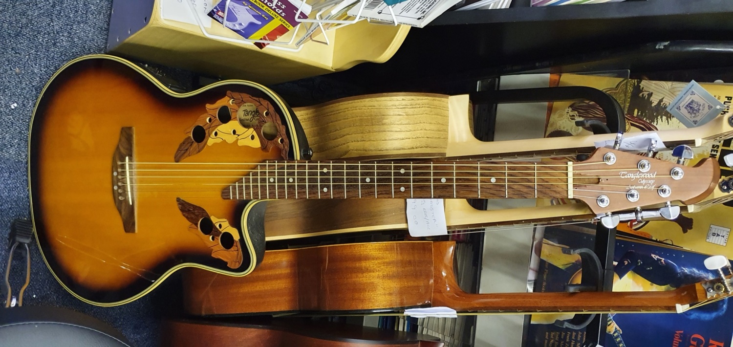 Electro Acoustic Guitars